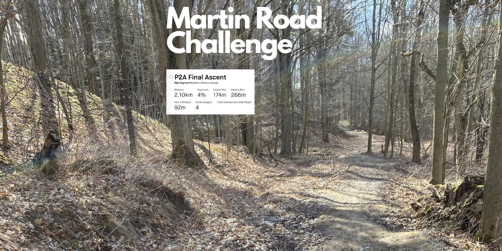 Virtual Cycling Challenge Martin Road | AI Endurance